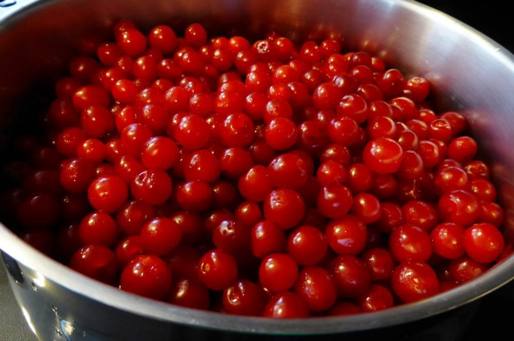 How to Make Nanking Cherry Jelly - Dish 'n' the Kitchen