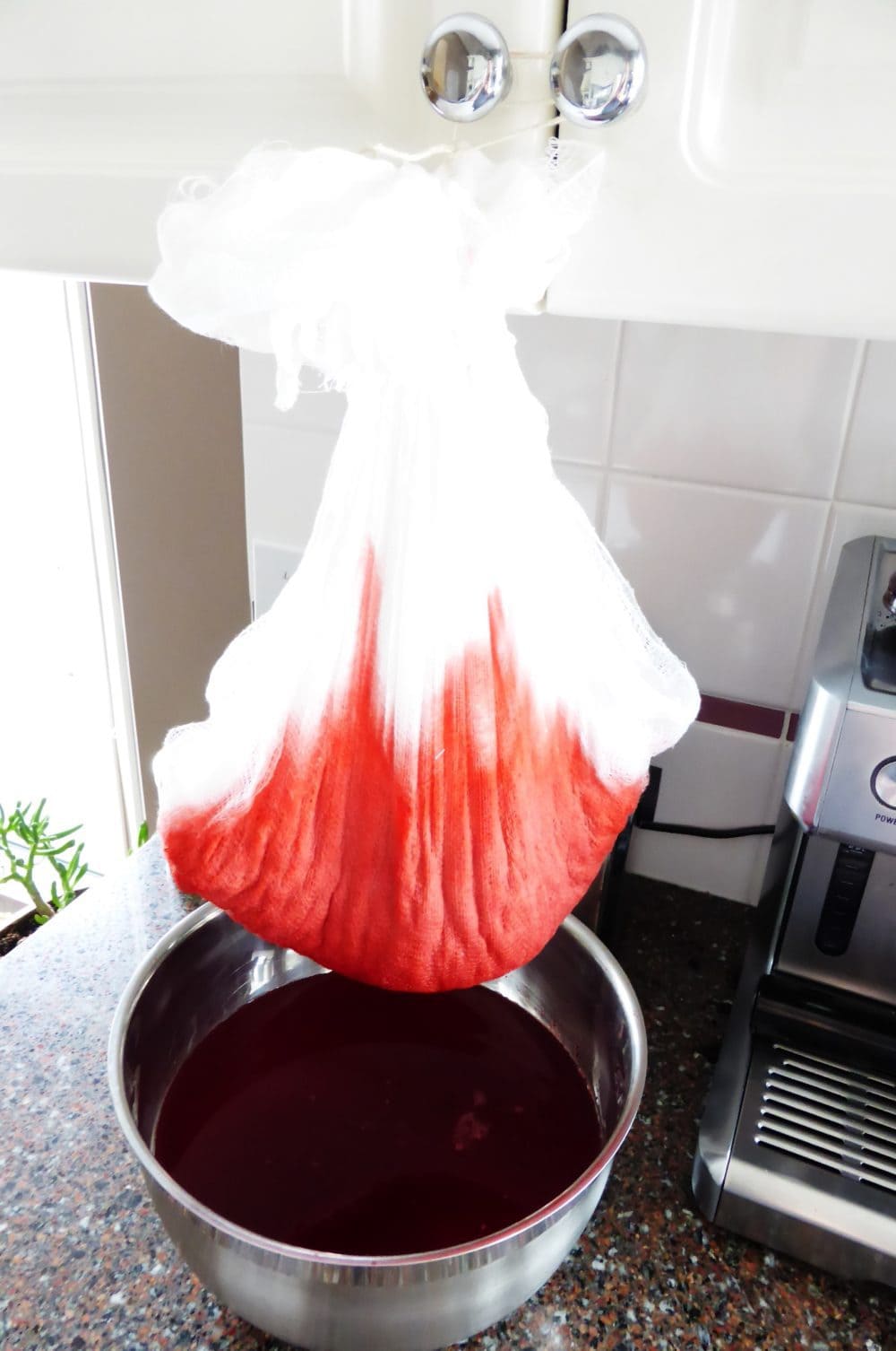 How to Make Nanking Cherry Jelly - Dish 'n' the Kitchen