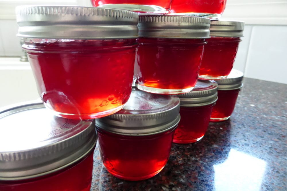 How to Make Nanking Cherry Jelly - Dish 'n' the Kitchen