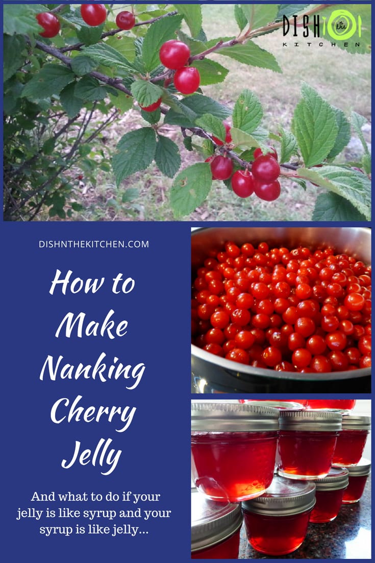 How to Make Nanking Cherry Jelly - Dish 'n' the Kitchen