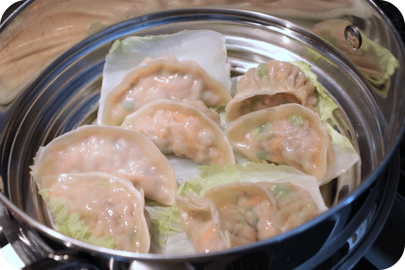 Cabbage and Pork Dumplings - Dish 'n' the Kitchen