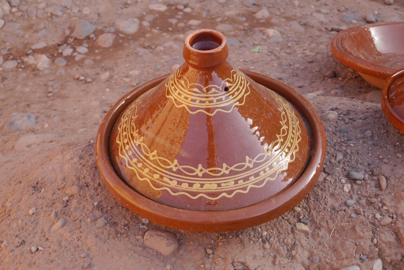 Butternut Squash Chicken Tajine - Dish 'n' the Kitchen