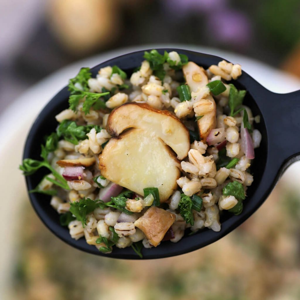 Mushroom Barley Salad Recipe - Dish 'n' the Kitchen
