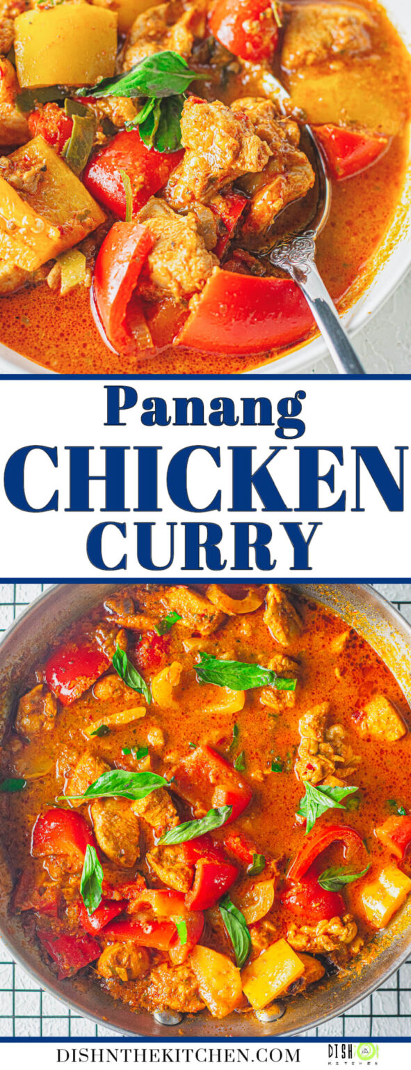 Panang Chicken Curry - Dish 'n' the Kitchen