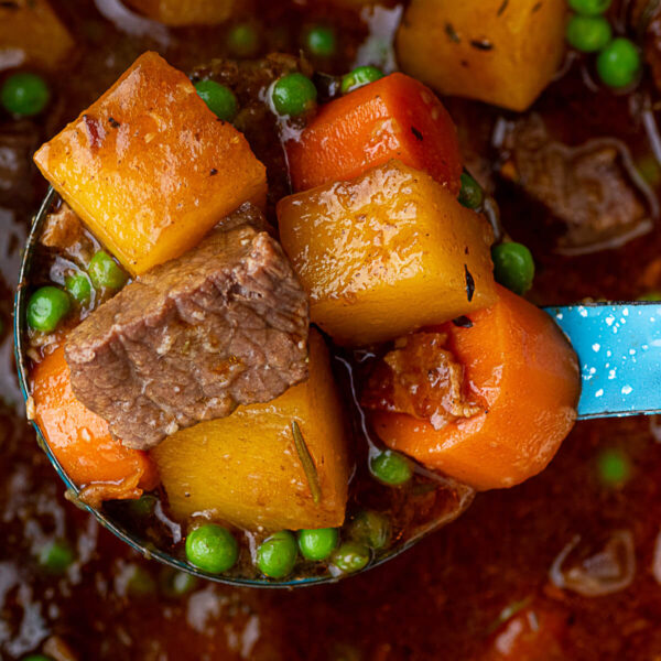 Hearty Instant Pot Beef Stew - Dish 'n' the Kitchen