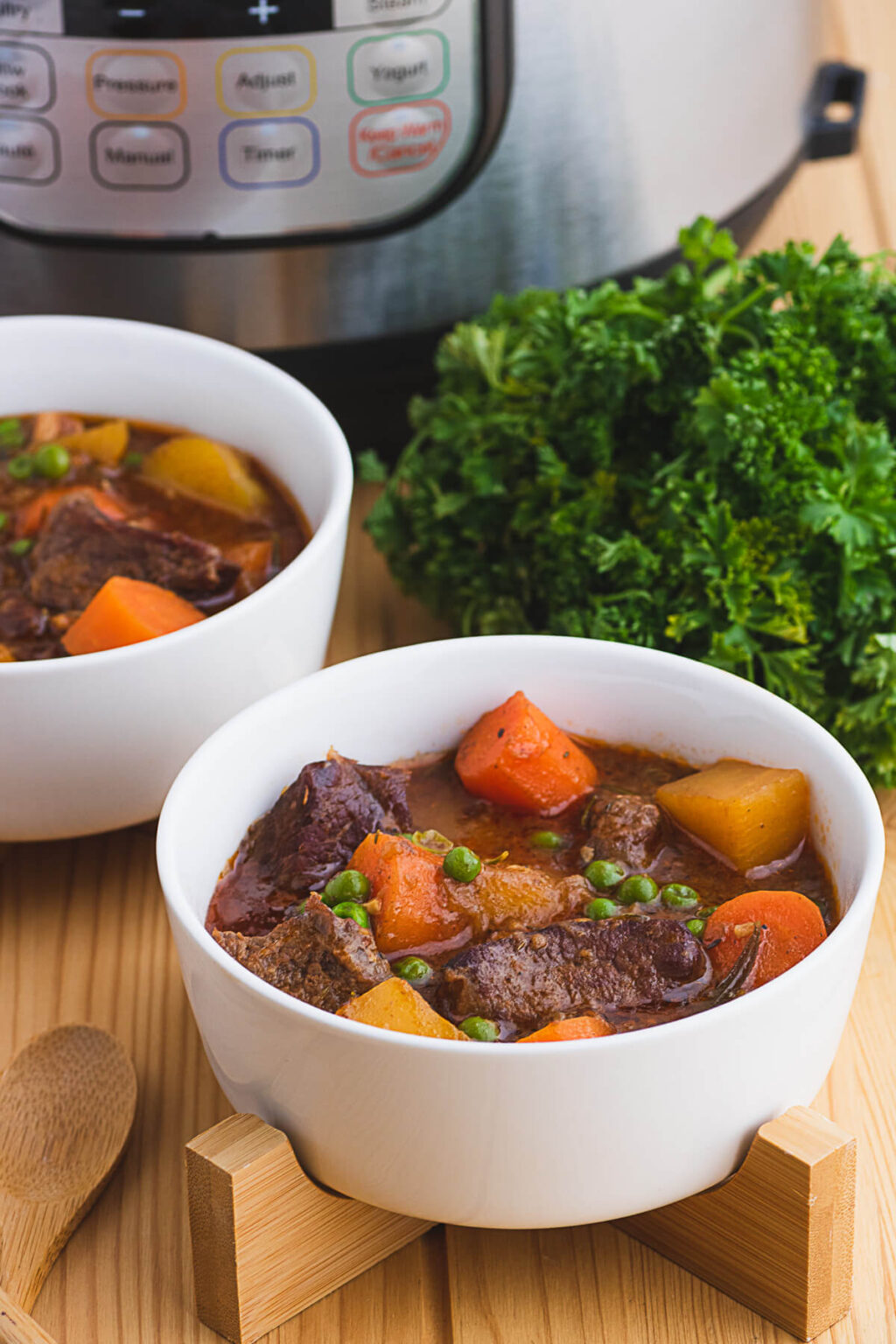 Hearty Instant Pot Beef Stew - Dish 'n' the Kitchen