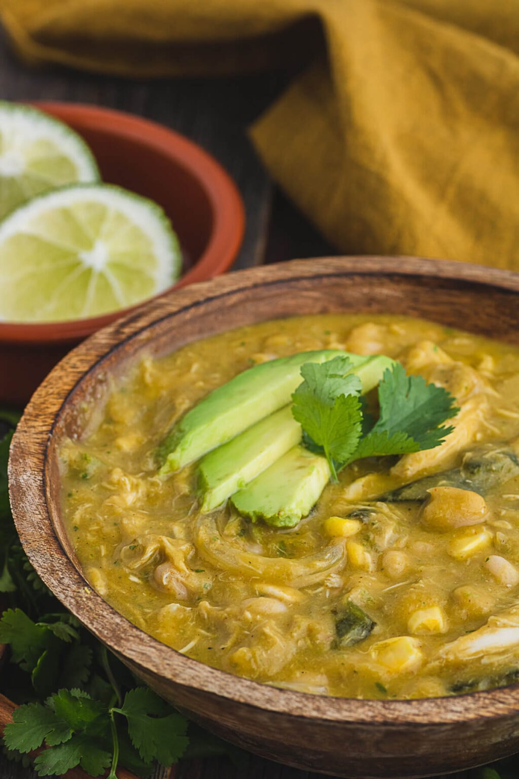 Chicken Chili Verde - Dish 'n' the Kitchen
