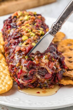 Pistachio Cranberry Cheese Log - Dish 'n' the Kitchen