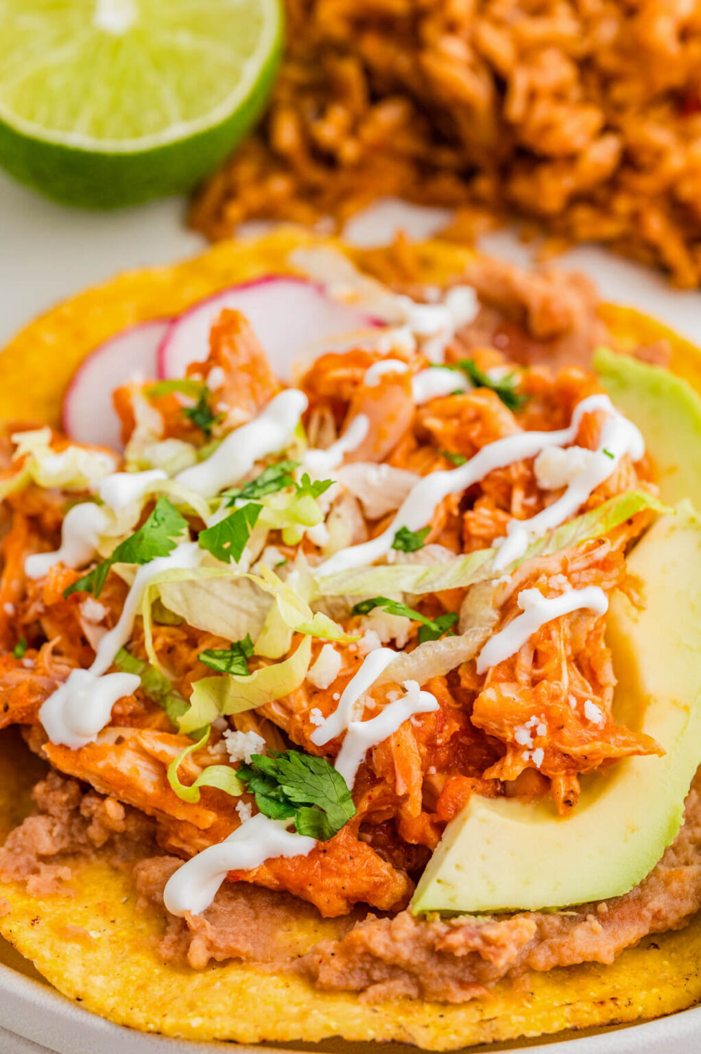 Chicken Tinga Tostadas - Dish 'n' the Kitchen