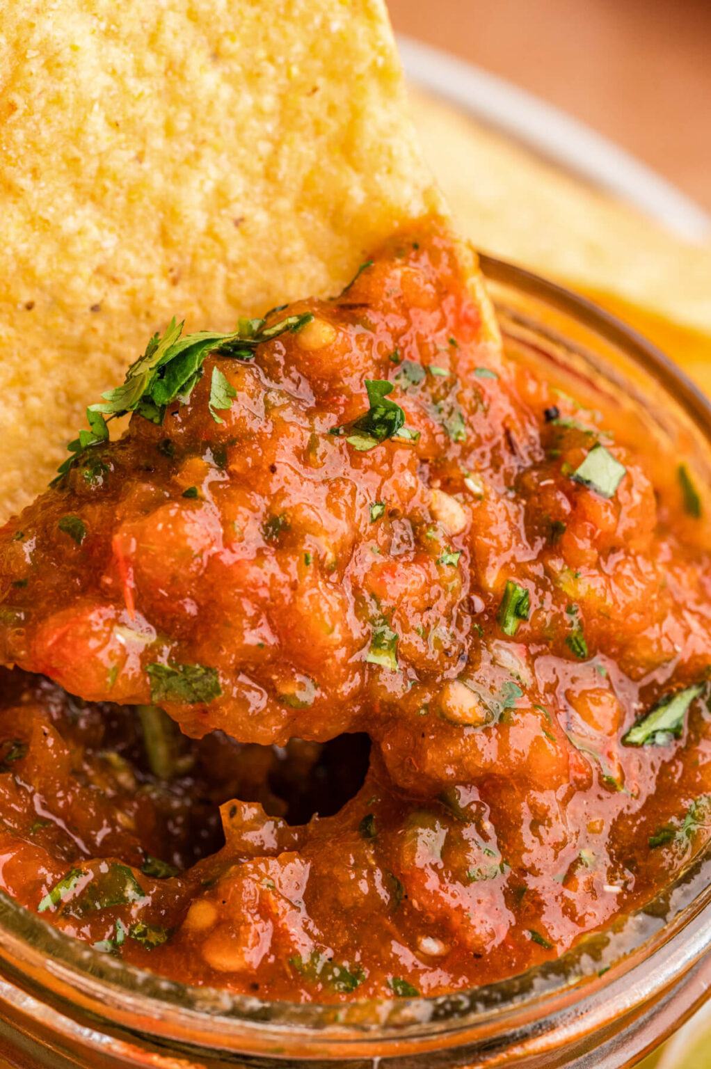 Fire Roasted Salsa (Salsa Tatemada) - Dish 'n' the Kitchen
