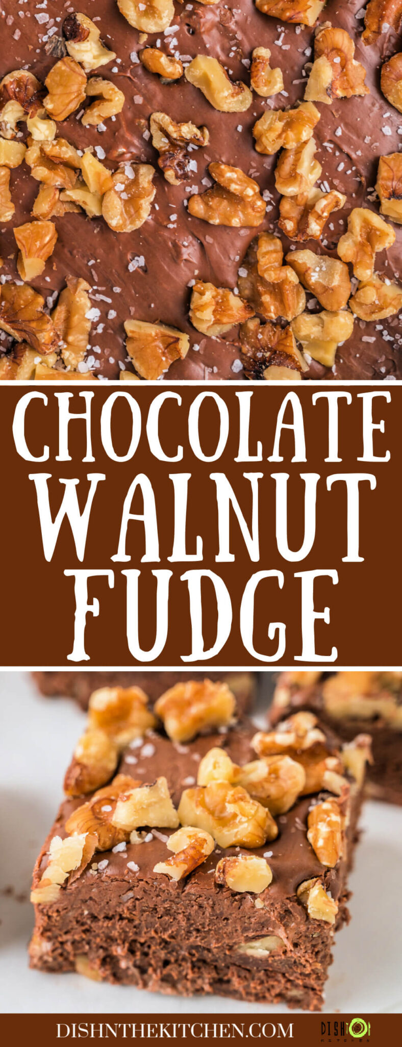 Easy Chocolate Walnut Fudge - Dish 'n' the Kitchen