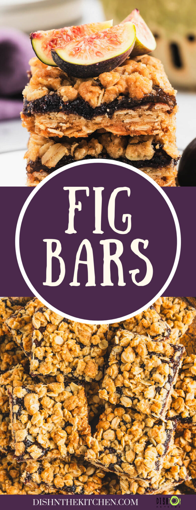 Homemade Fresh Fig Bars - Dish 'n' the Kitchen